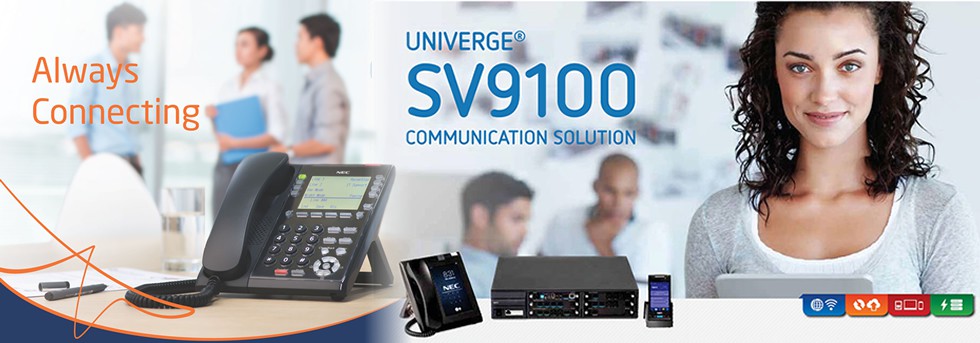 Avaya IP 500 V2